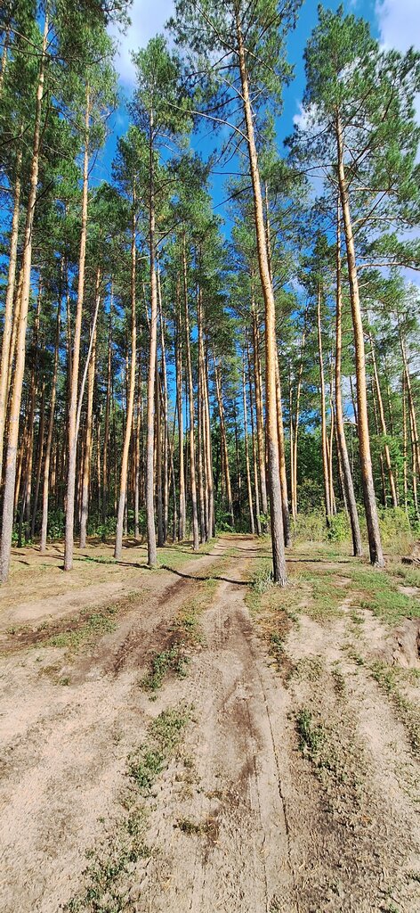 Plaj Пляж, Samarskaya oblastı, foto