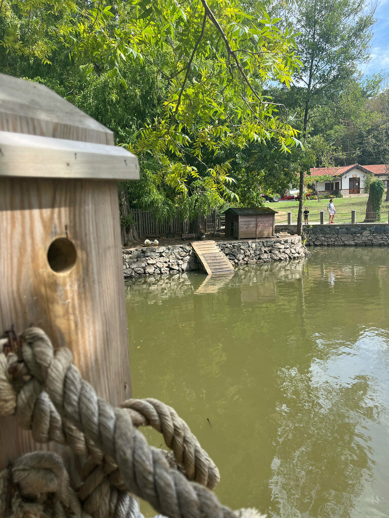 Restoran Marnel Restaurant Cafe, Erdemli, foto