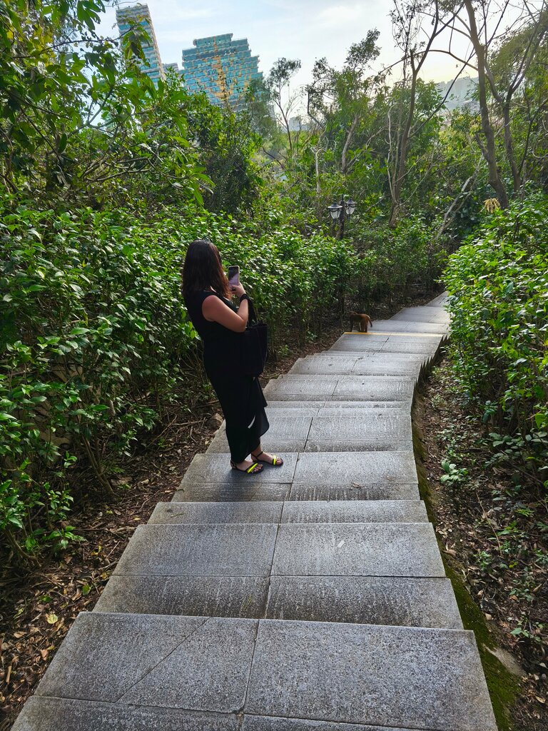 Kültür ve eğlence parkları Городской фруктовый сад, Sanya, foto