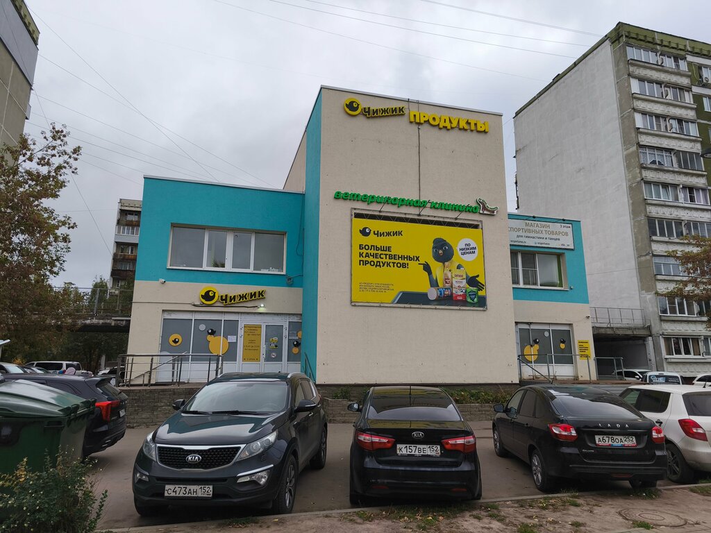 Veteriner klinikleri Ot Nosa do Khvosta, Nijni Novgorod, foto