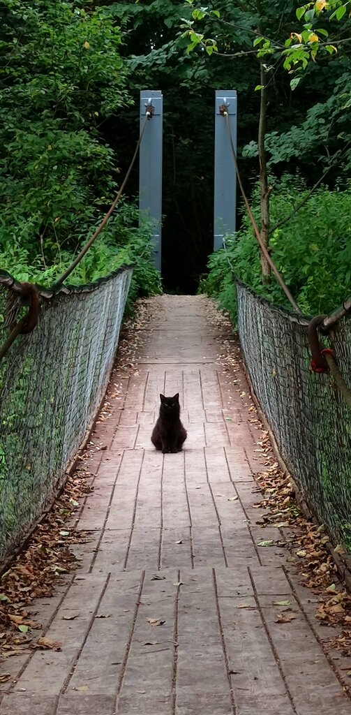 Turistik yerler Подвесной мост, Tulskaya oblastı, foto