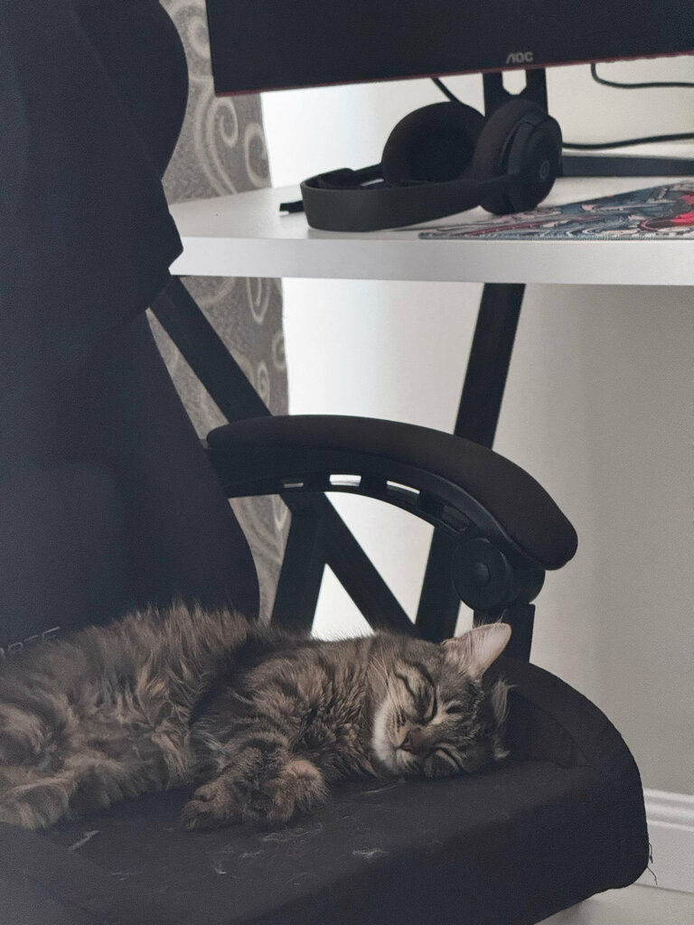 Veteriner klinikleri Phoenix, Almatı, foto