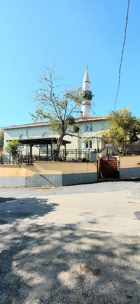 Muhtarlıklar Osmanköy Köy Muhtarlığı, Şile, foto