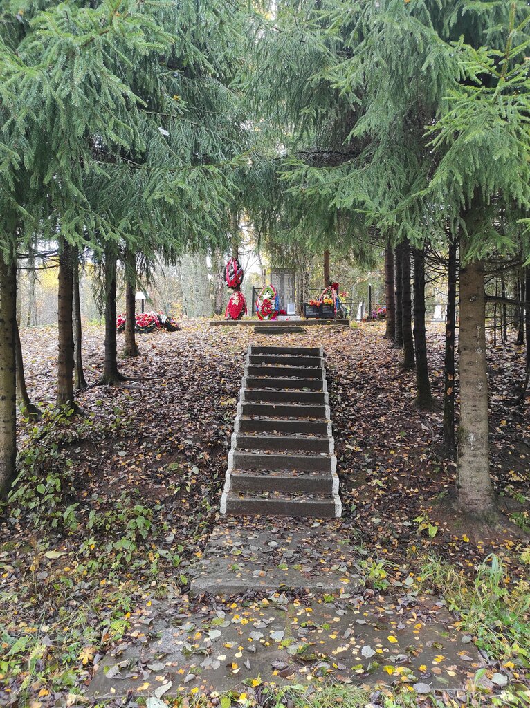 Anıt, heykel Братская могила, Saint‑Petersburg ve Leningradskaya oblastı, foto