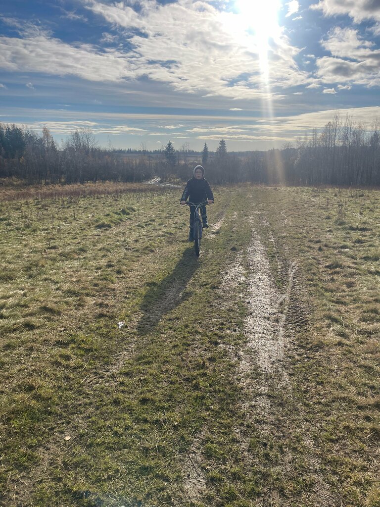 Turistik yerler Долговременная огневая точка № 447 КаУР, Saint‑Petersburg ve Leningradskaya oblastı, foto