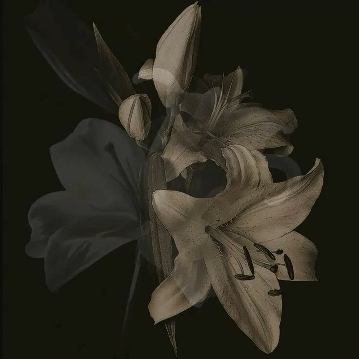 Kozmetik ve parfümeri mağazaları M. Kosmetik, Kolpaşevo, foto