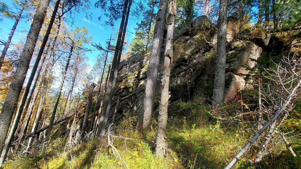 Dağ zirvesi Скала Моховой, Krasnoyarski krayı, foto
