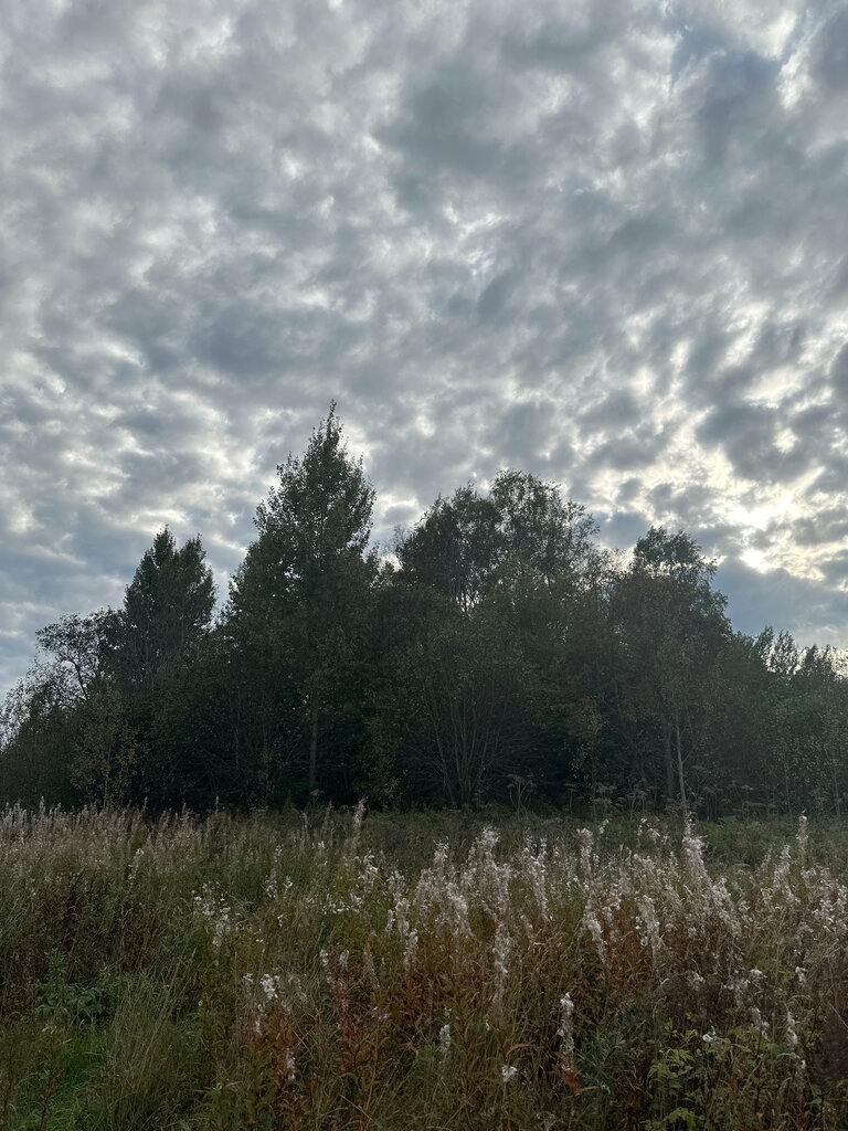 Turistik yerler Малый останец, Saint‑Petersburg ve Leningradskaya oblastı, foto