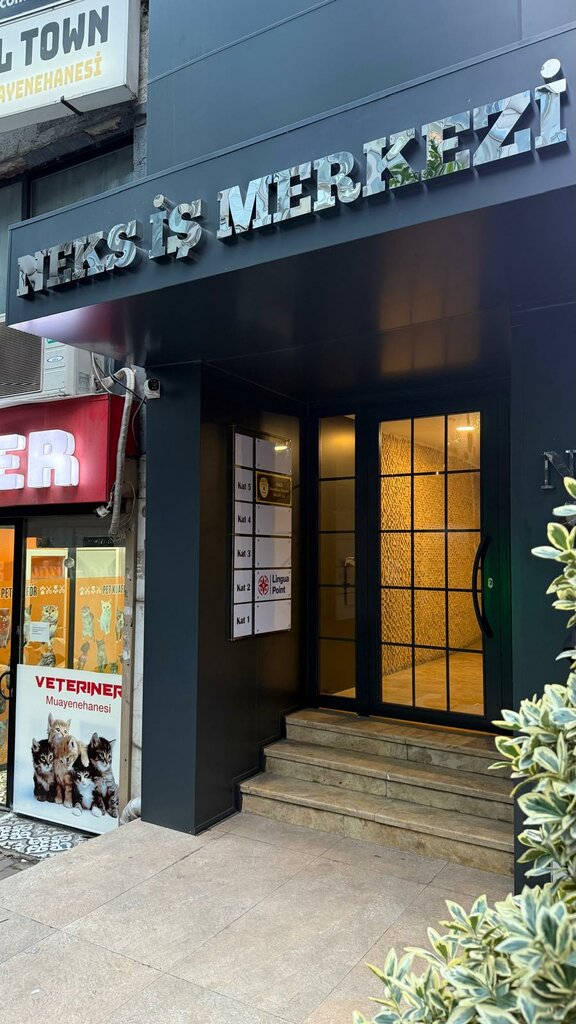 Yabancı dil kursları Lingua Point, İstanbul, foto