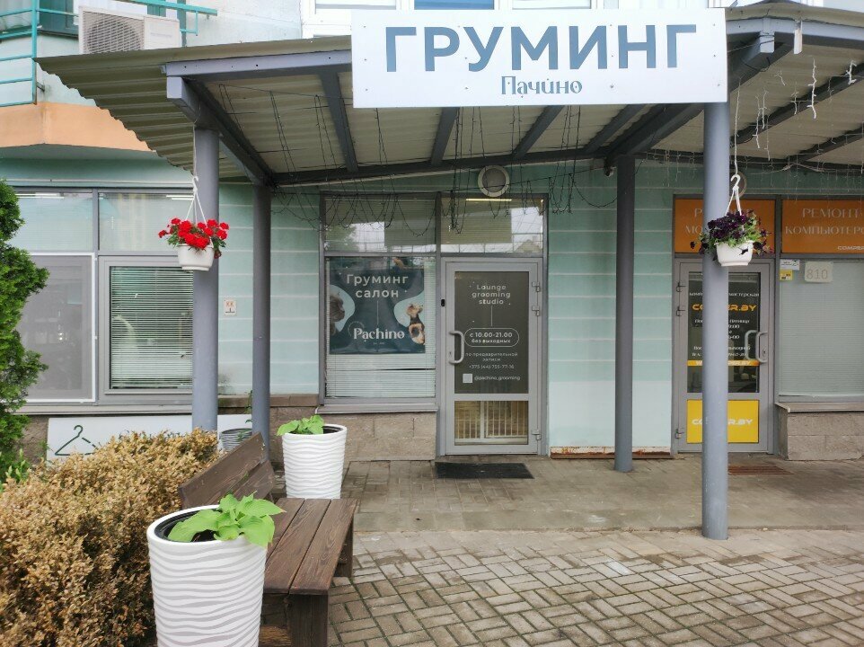 Evcil hayvan kuaförleri Pachino, Minsk, foto