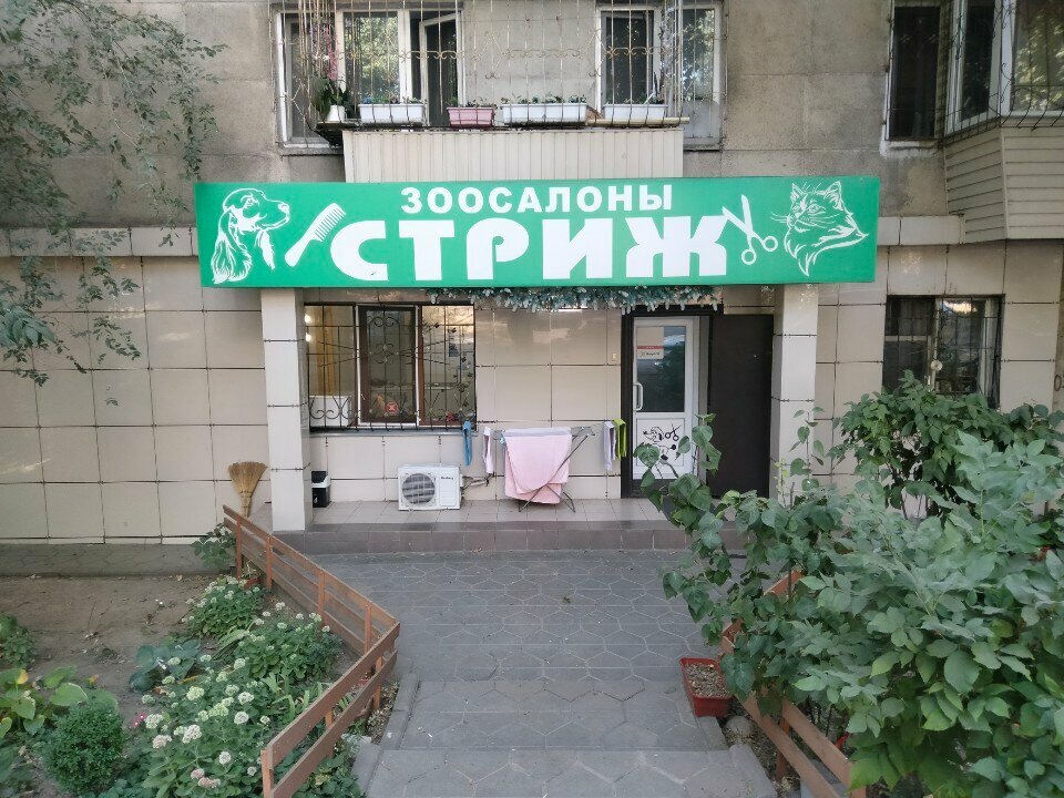 Evcil hayvan kuaförleri Swift, Almatı, foto