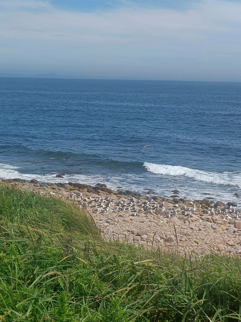 Plaj Пляж, Primoriye, foto