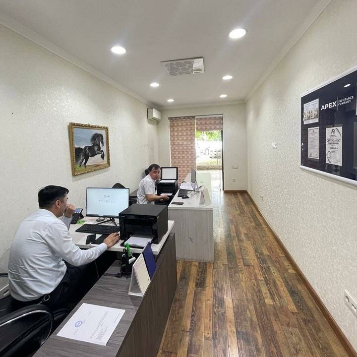 Sigorta şirketleri Apex, Taşkent, foto