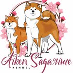 Aiken Sagarime kennel (Kirpichnaya Street No:1), evcil hayvan yetiştiricileri  Sergiyev Posad'dan