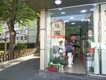 Felina (Zoravar Andranik Street No:75/16, Yerevan), çiçekçiler  Erivan'dan