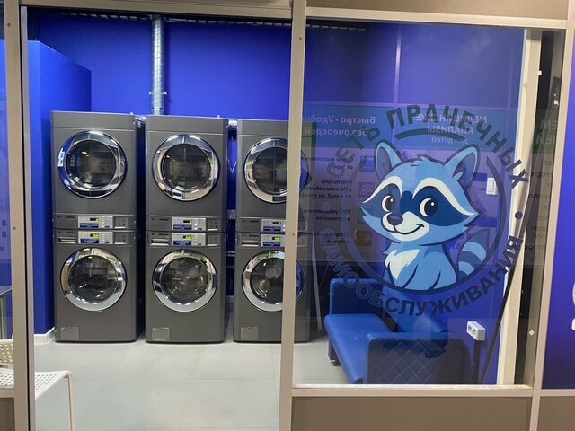 Çamaşırhaneler Laundry room with a raccoon, Saint‑Petersburg, foto