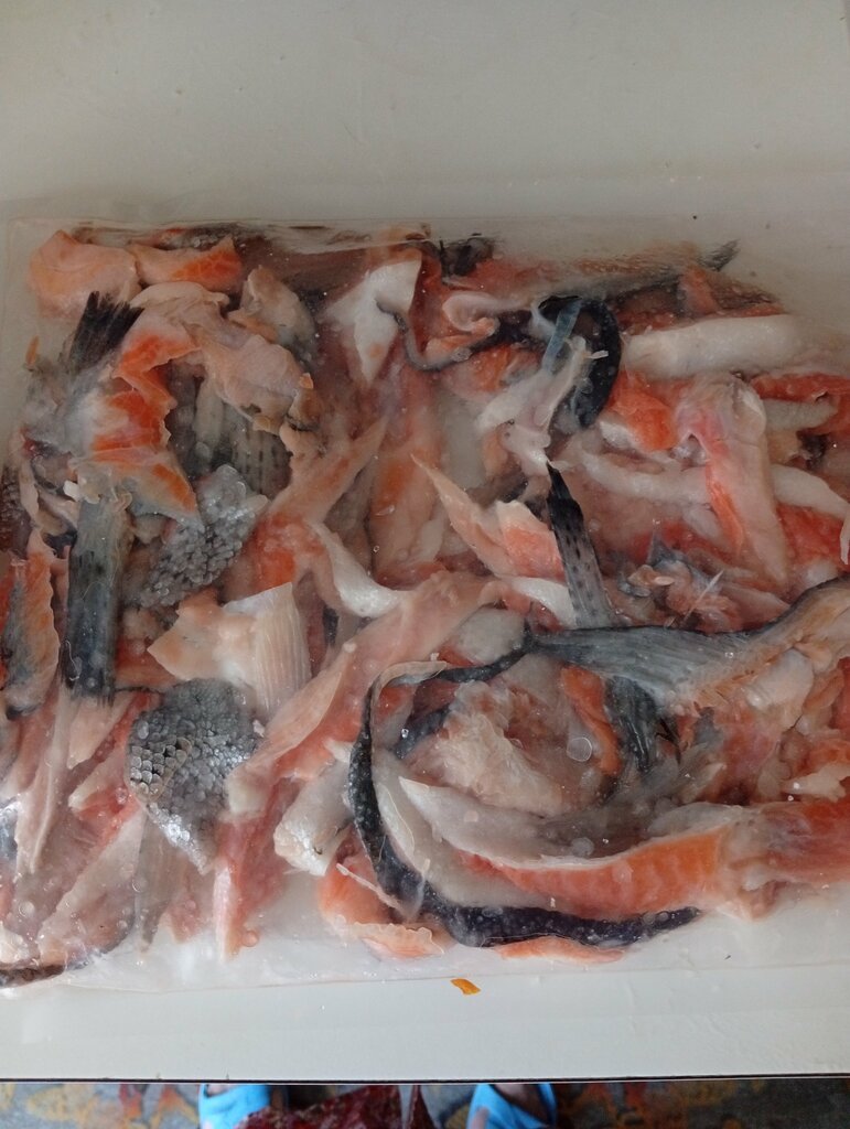 Balık ve deniz ürünleri Акварезерв, Moguilev, foto