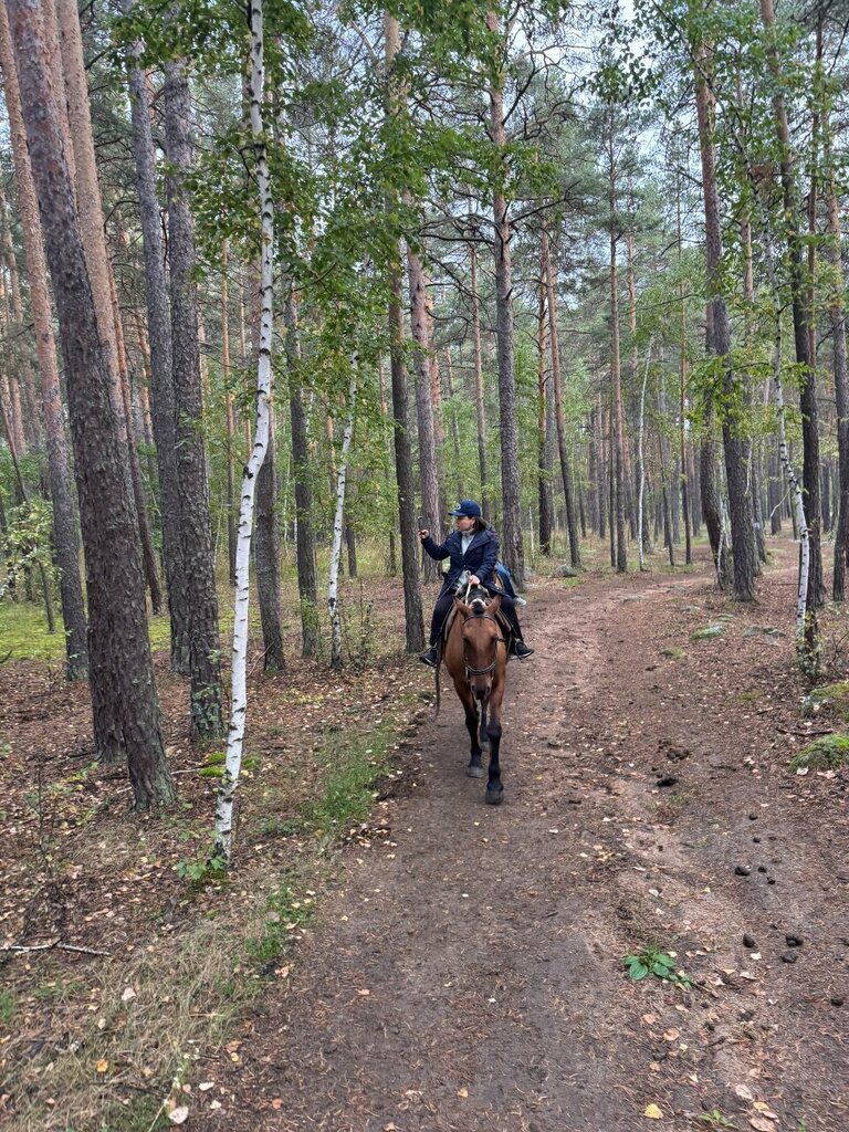 At ve binicilik kulüpleri Equestrian Yard, Şçuçinsk, foto
