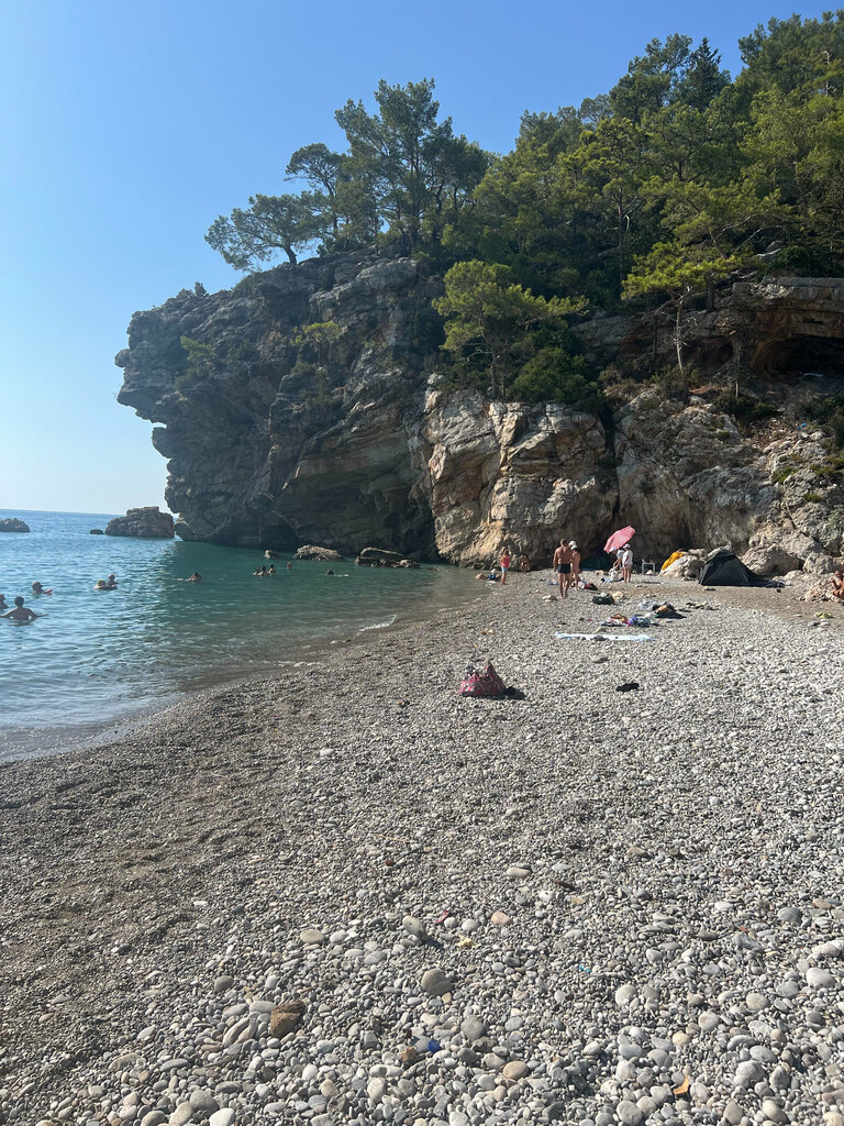 Plaj Vahşi plaj, Dünya, foto