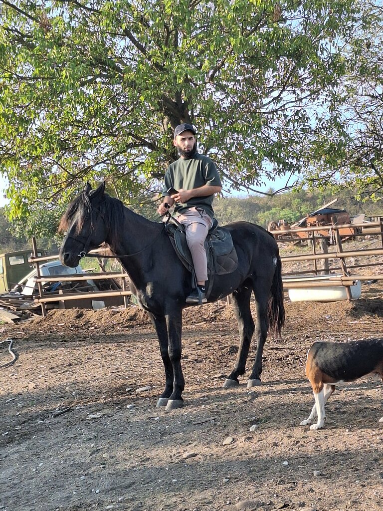 At ve binicilik kulüpleri Ранчо у Рустама, Grozni, foto