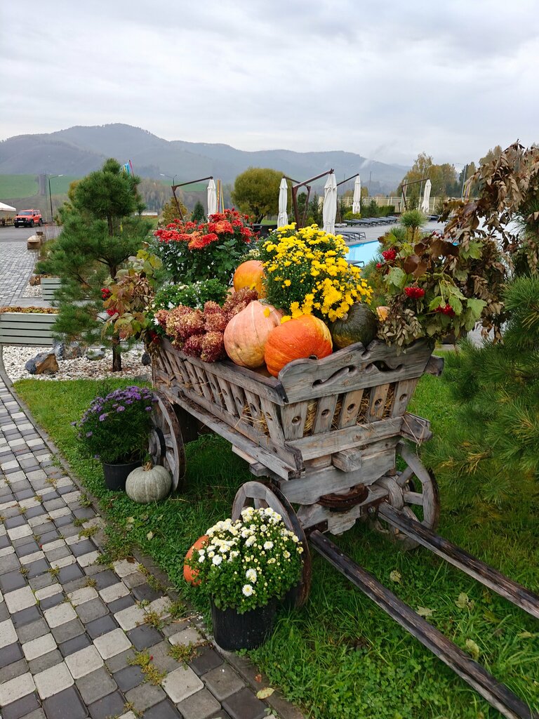 Tatil altyapısı Altai Palace chalet, Altayski krayı, foto