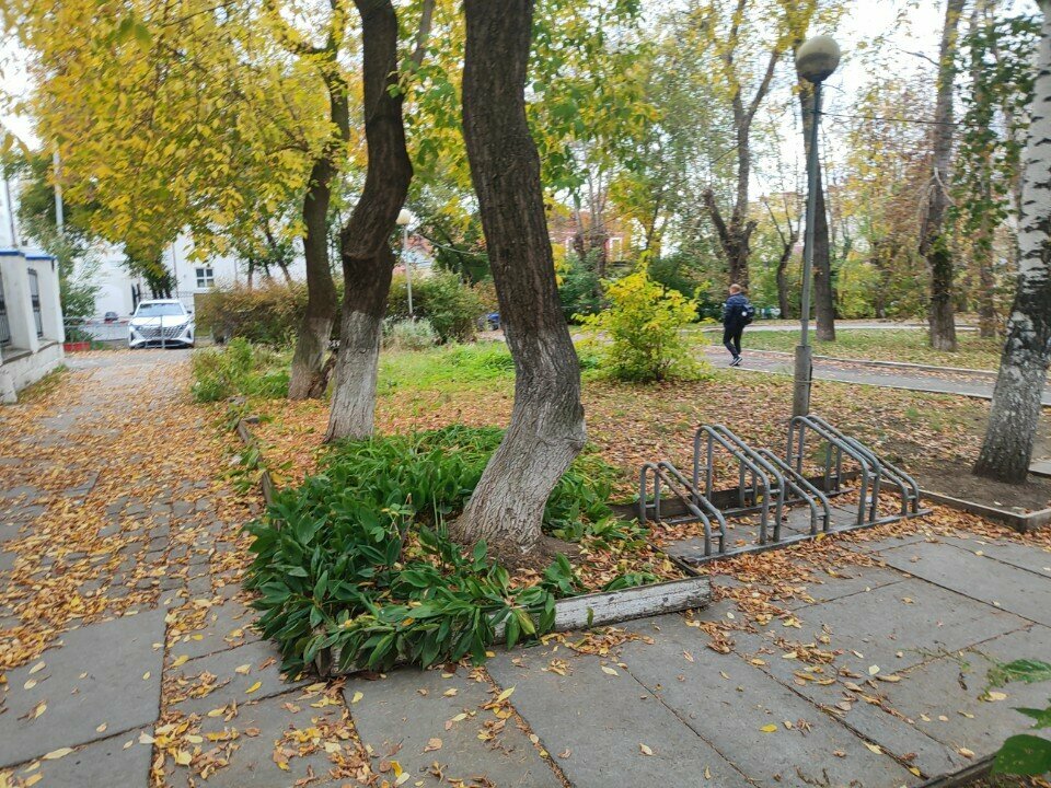Bisiklet park yerleri Bicycle parking, Yekaterinburg, foto