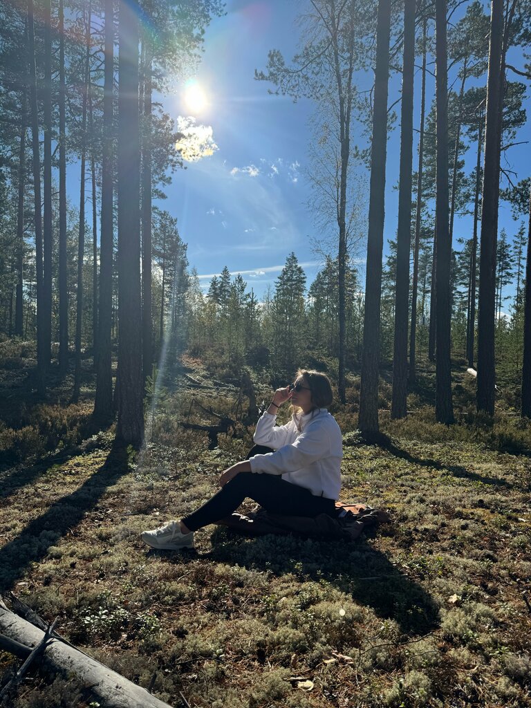 Seyir terası Панорама ягеля, Saint‑Petersburg ve Leningradskaya oblastı, foto