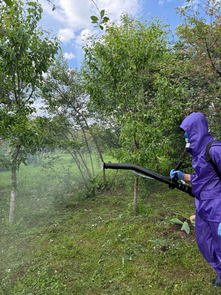 Haşere ilaçlama firmaları Насекомых. Нет, Izhevsk, foto