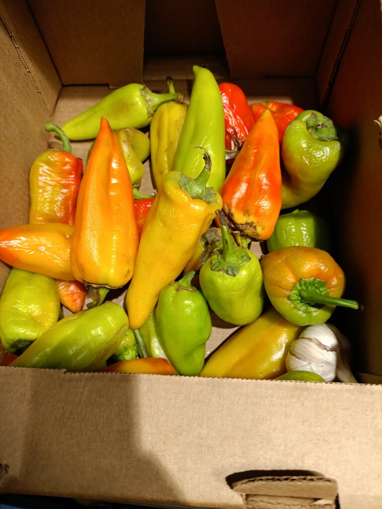 Süpermarket Пятёрочка, Odintsovo, foto