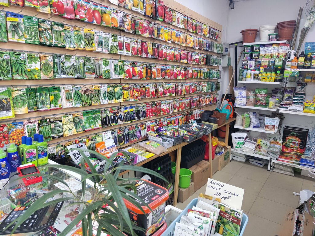 Bahçecilik mağazaları Семена на все времена, Otradny, foto