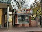 Fast Food Kiosk (Shagabutdinov Street No:132), fast food  Almatı'dan