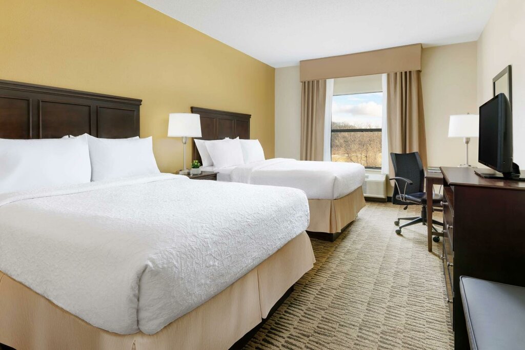 Otel Hampton Inn Jackson, Michigan Eyaleti, foto
