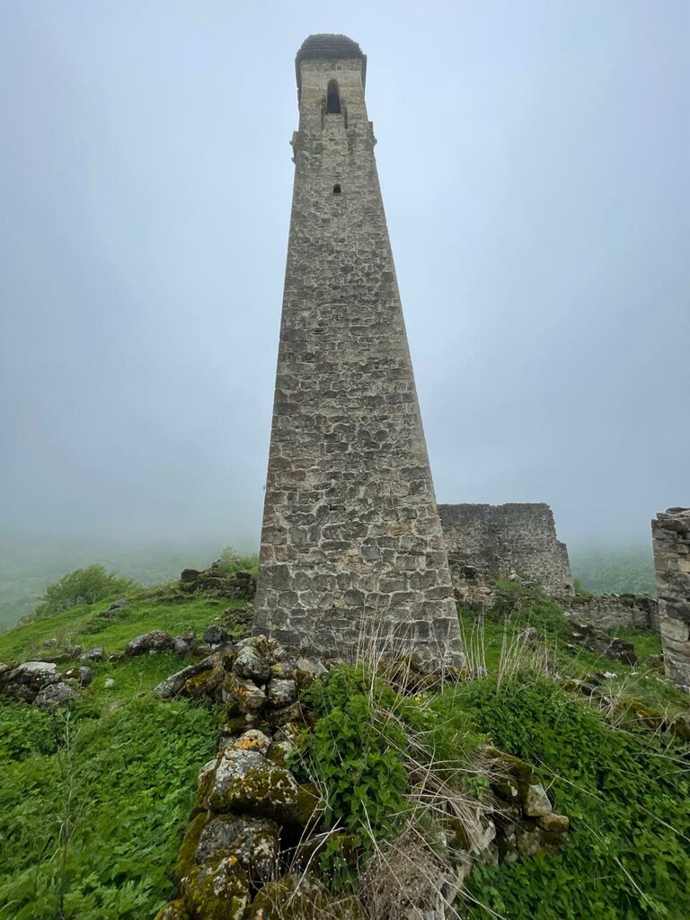Turistik yerler Боевая башня Лейми, İnguşetya, foto