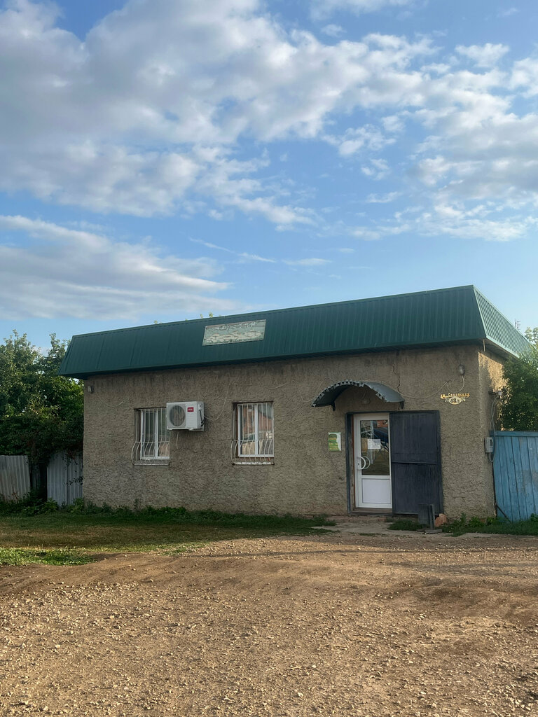 Mini-market Смешанные товары, Saratovskaya oblastı, foto