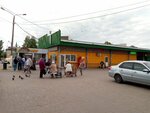 Zoomagazin Zoosad (ulitsa Karla Marksa No:41), bahçecilik mağazaları  Zelenodolsk'tan (Yeşel Üzen'den)