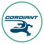 Cordiant professional (Sofyi Perovskoy Lane No:13В), jant ve lastikçiler  Yaroslavl'dan