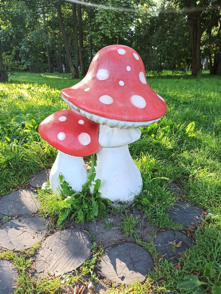 Park, sokak heykeli Мухомор, Zelenogradsk, foto