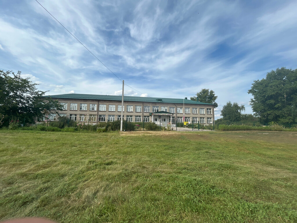 Ortaokul Нижнечеремемошинская средняя общеобразовательная школа, Novosibirskaya oblastı, foto