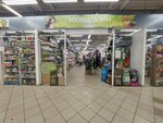 Зоодолина (Moskovskiy Avenue No:171А), petshop  Kaliningrad'dan