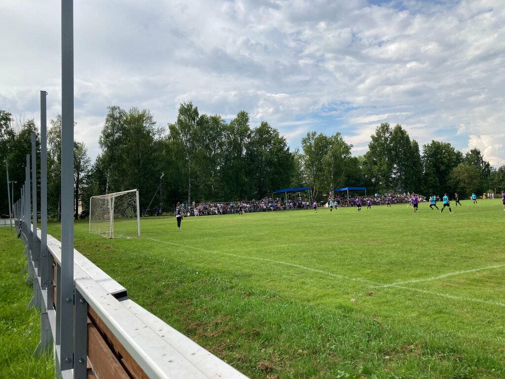 Spor alanı Городской стадион, Poşehonye, foto