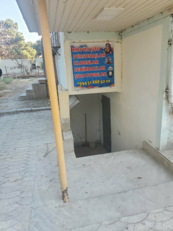 Çocuklar için kutlama organizasyonları Köpük şou, Bakü, foto