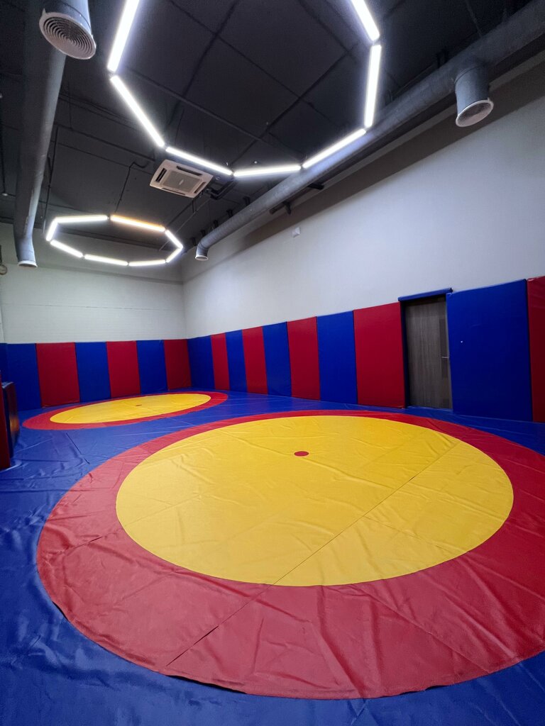 Spor kulüpleri Tri Medvedya, Moskovski, foto