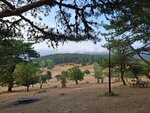 Kocayayla Kamp Alanı (Bursa, Keles, Yenice Mah.), kamp alanları  Keles'ten