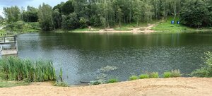Реадовское озеро (munitsipalnoye obrazovaniye Smolensk, Leninskiy rayon), piknik alanı  Smolensk'ten