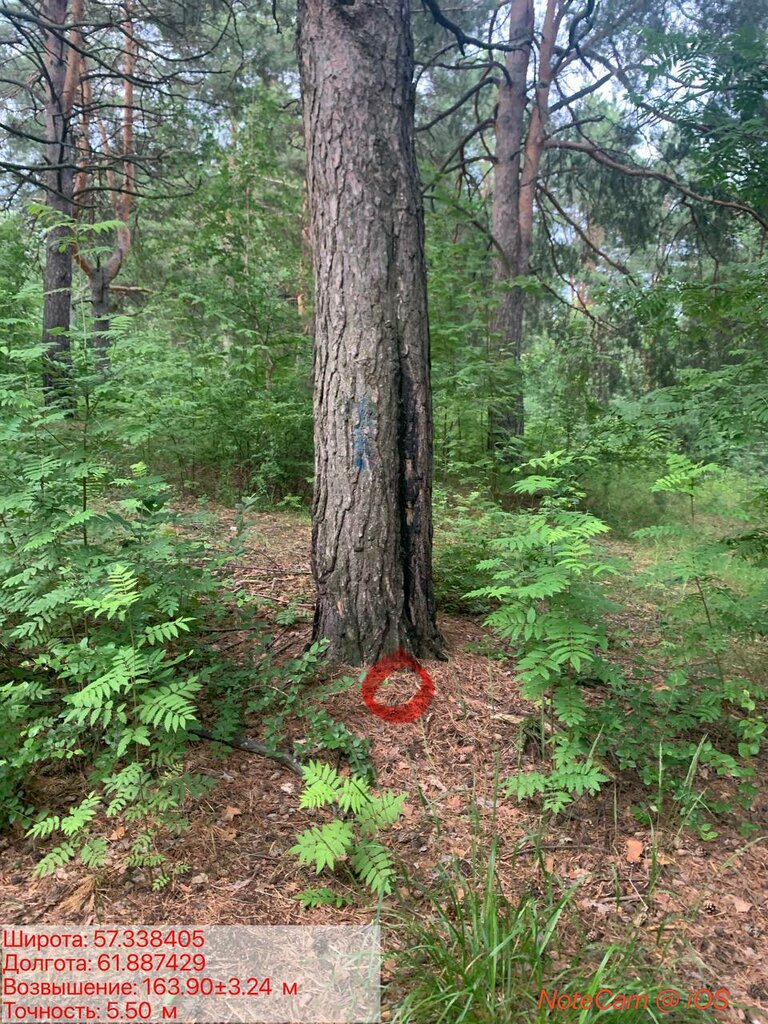 Veteriner klinikleri Ветеринарная клиника, Sverdlovskaya oblastı, foto