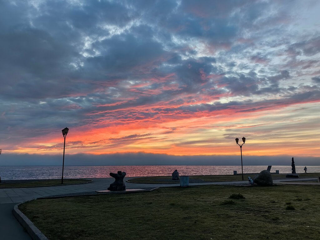 Anıt, heykel Кот Рекс, Petrozavodsk, foto