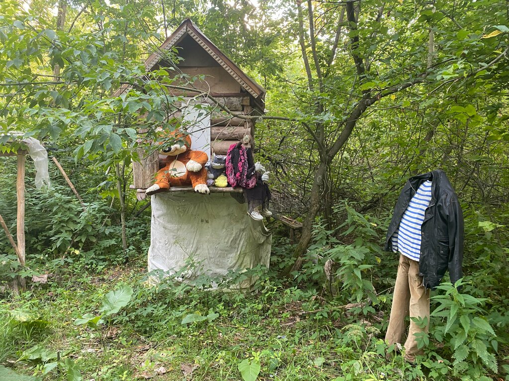 Piknik alanı У дяди Миши, Glazov, foto