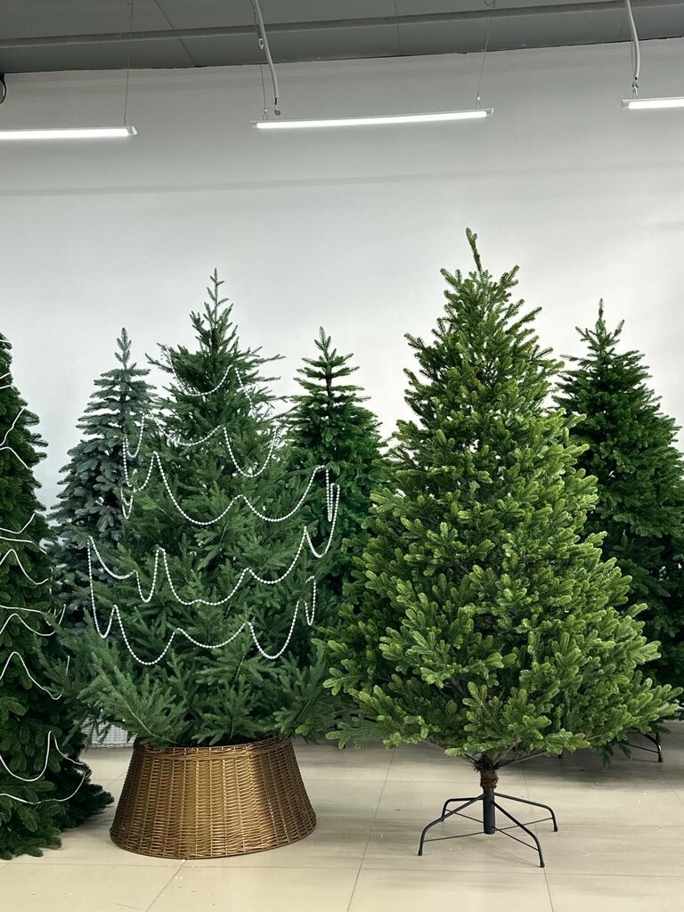 Yapay çam ağaçları ve süsleri Ёлки Из Сказки, Belgorod, foto