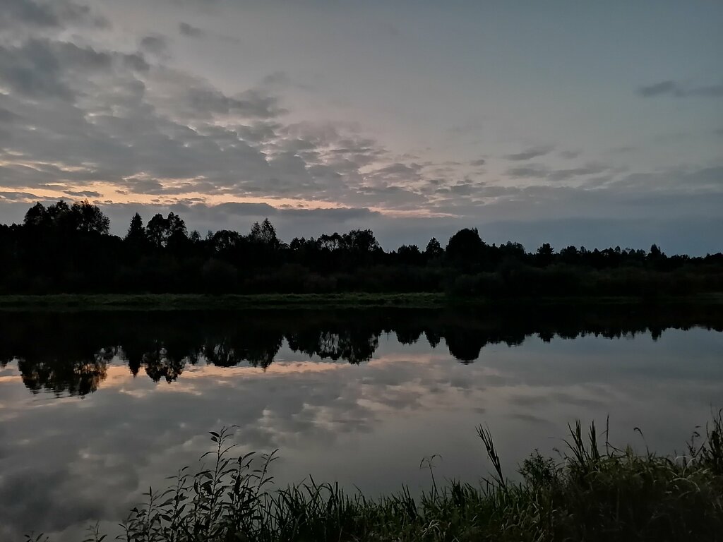 Orman Grodzienskaja pushcha, Grodnenskaya oblastı, foto