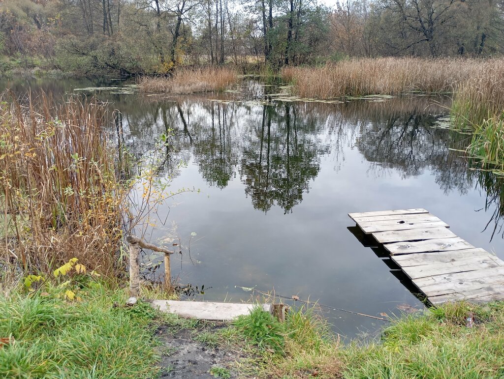 Plaj Пляж, Tambovskaya oblastı, foto